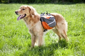 Extreme Backpack Klövjeväska, S | Hund.se - Bra Pris & Fri Frakt över 599:-