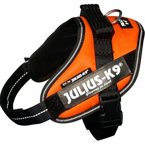 Julius K9 IDC Sele "Mini-Mini", 40-53cm | Hund.se - Bra Pris & Fri ...